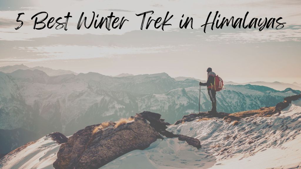 5 Best Winter Treks in the Himalayas – An Urban Nomadic